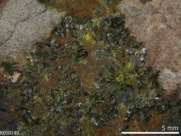 Carlin Gold mine, Elko, Lynn Mining District, Eureka County, Nevada, USA