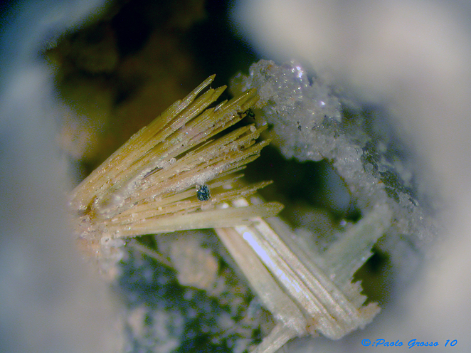 Chernikovite: Mineral information, data and localities.