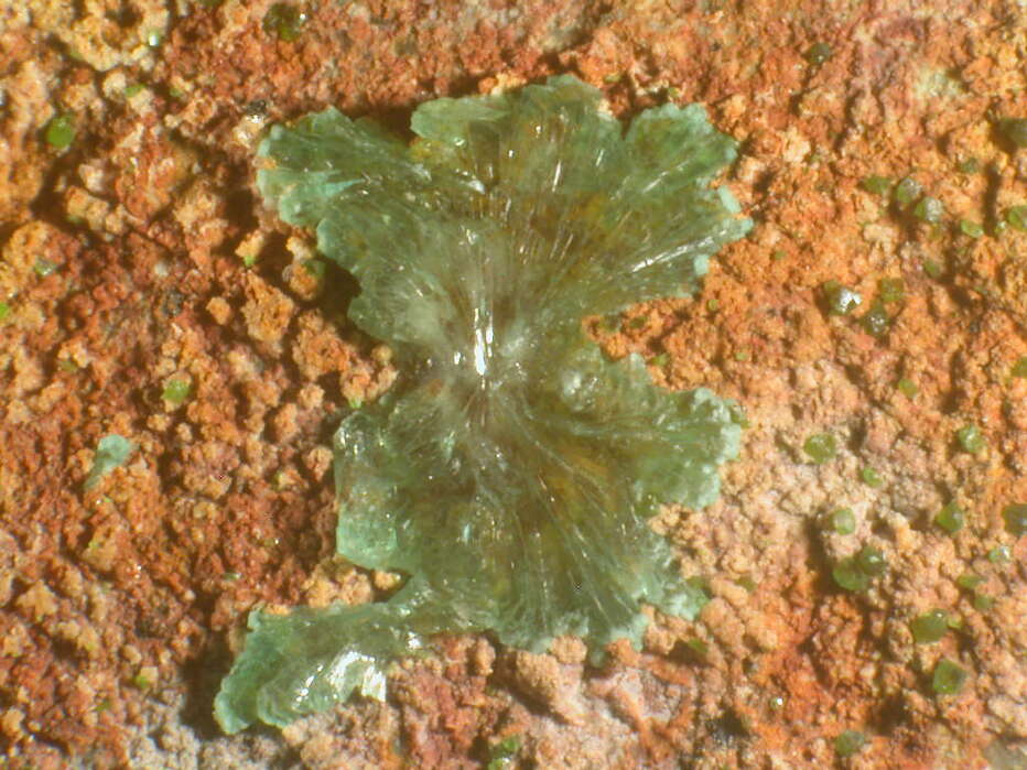 Silver Coin Mine, Valmy, Iron Point Mining District, Humboldt County ...