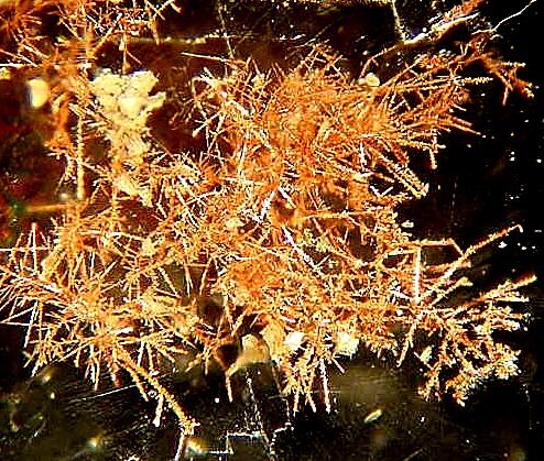 Pima Mining District, Sierrita Mountains, Pima County, Arizona, USA