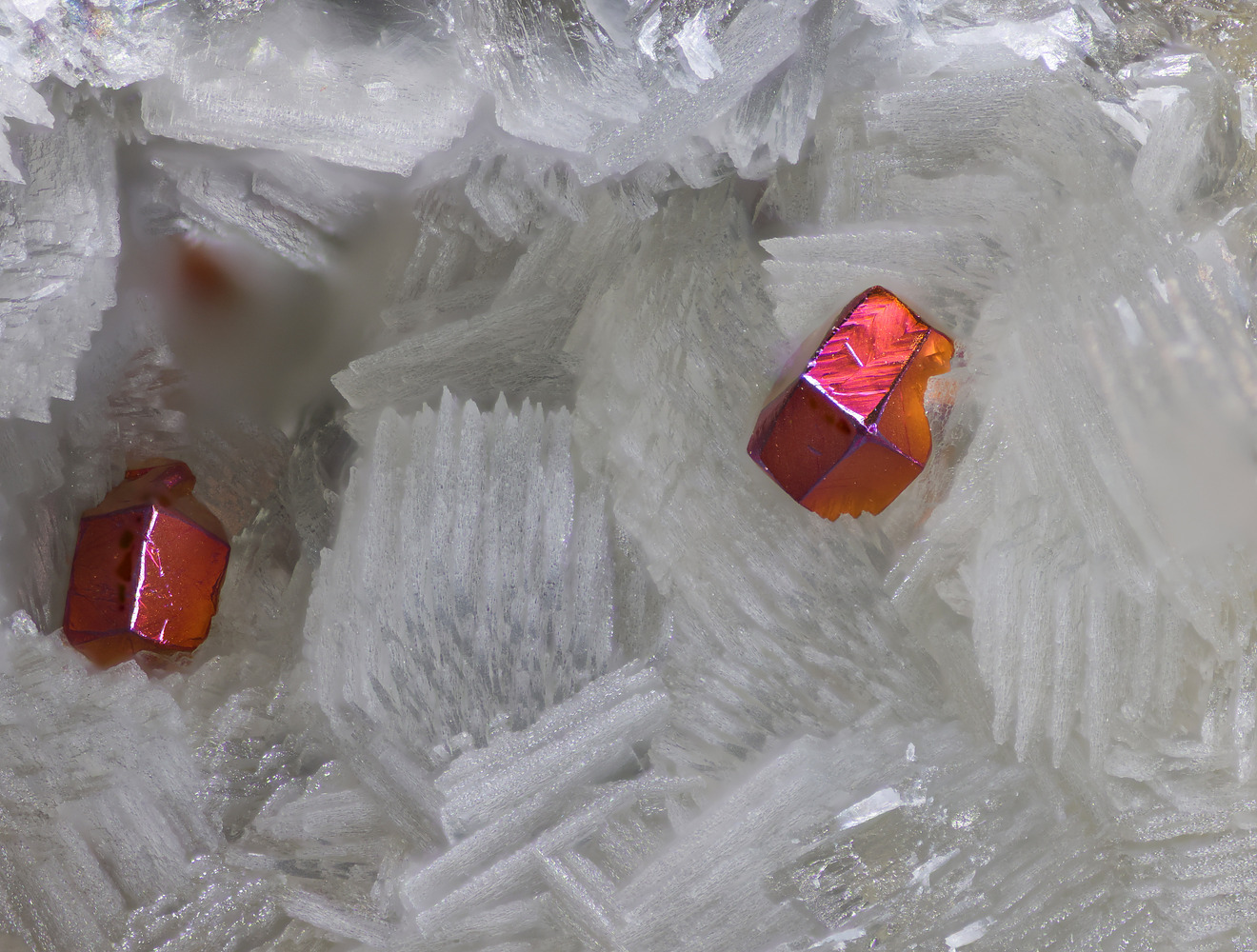 Photos : POTD - copper crystals on prehnite - dodecahedrons?