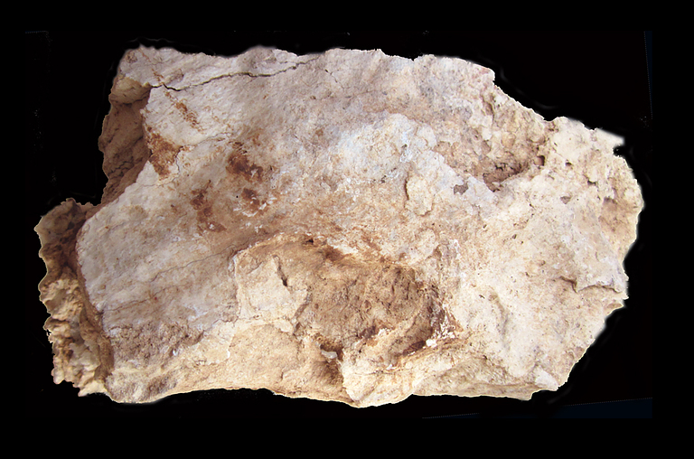 Sepiolite: Mineral information, data and localities.