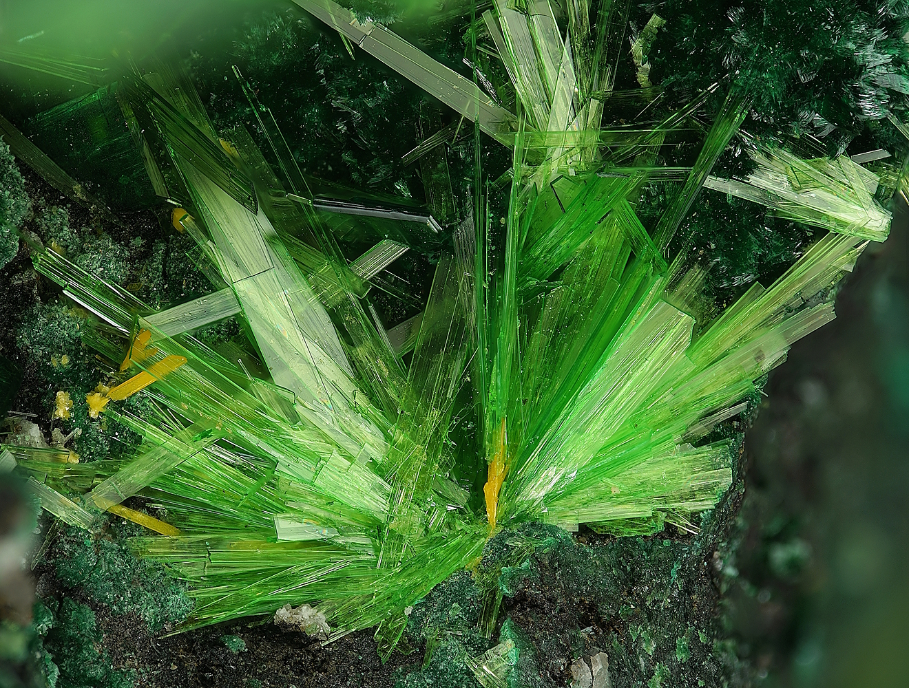 Voglianite: Mineral information, data and localities.