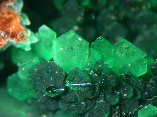 Euchlorine: Mineral information, data and localities.