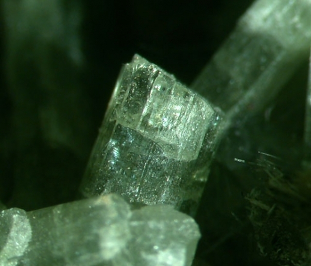 Amphibole Supergroup (Var: Uralite)