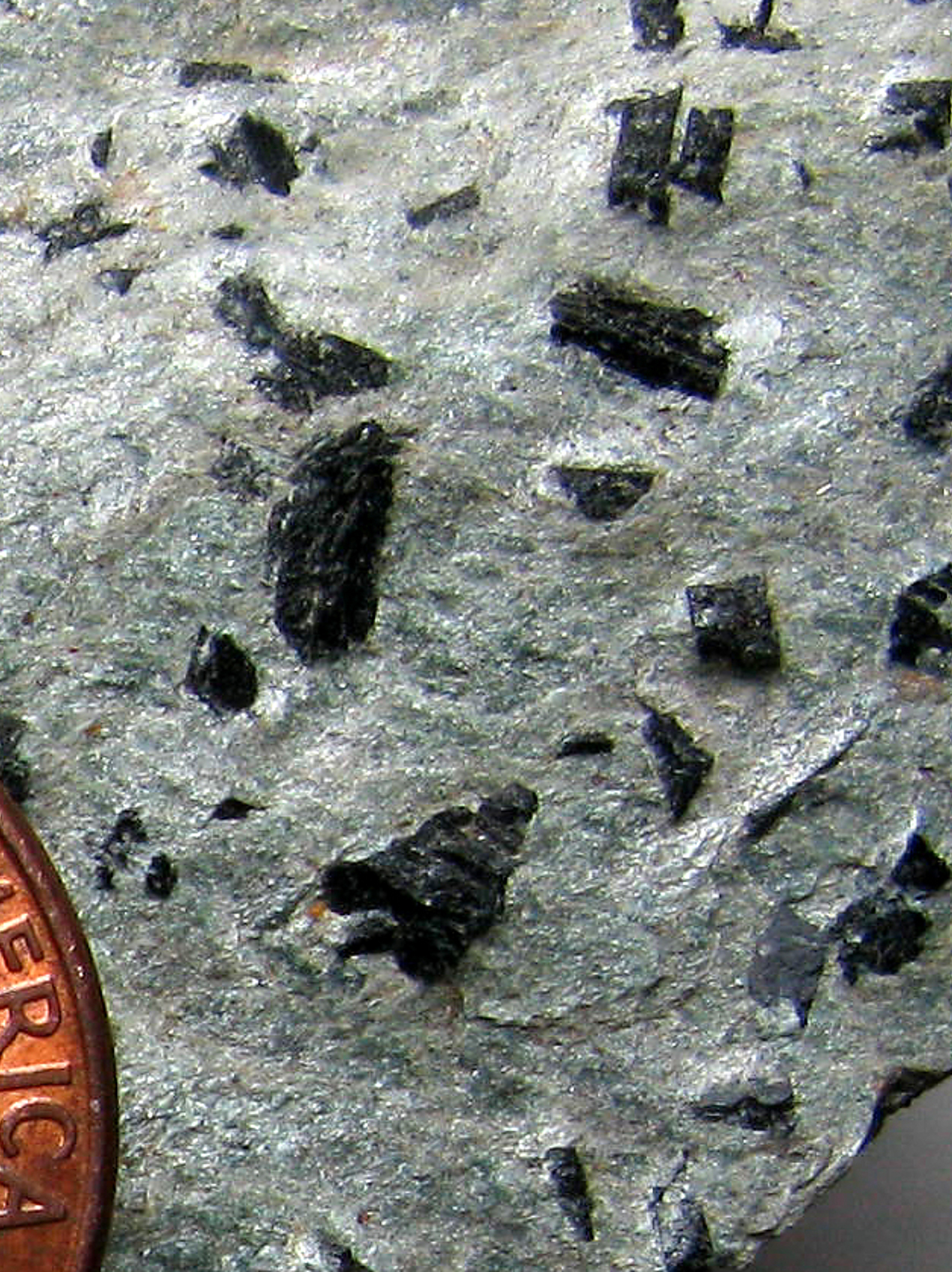 Radial platy grayish-black chloritoid showing hourglass reflections.