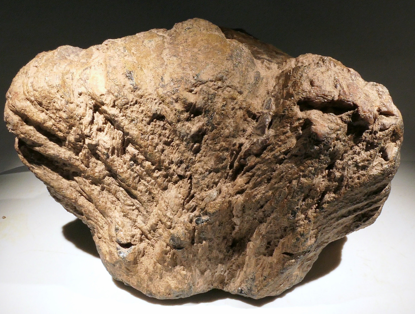 Photos : Gallery promotes old photos