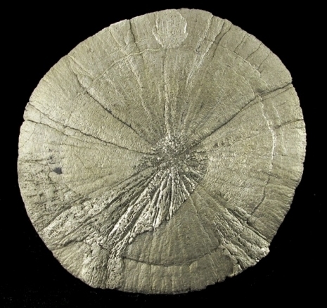 Pyrite: Mineral information, data and localities.