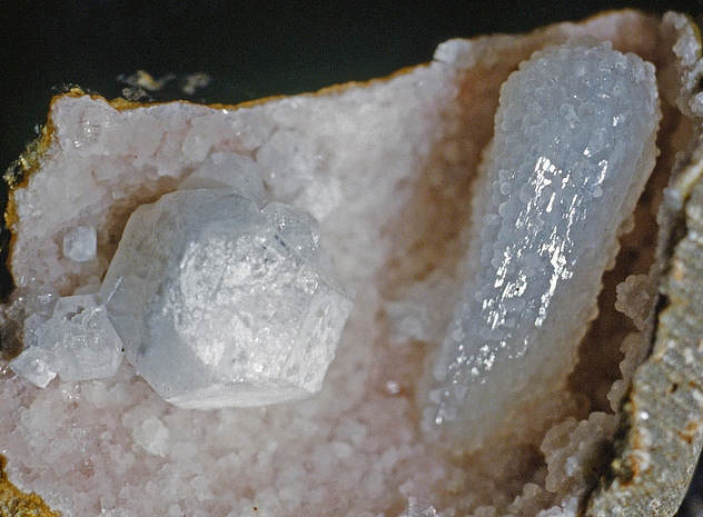 Neer Road, Goble, Columbia County, Oregon, USA