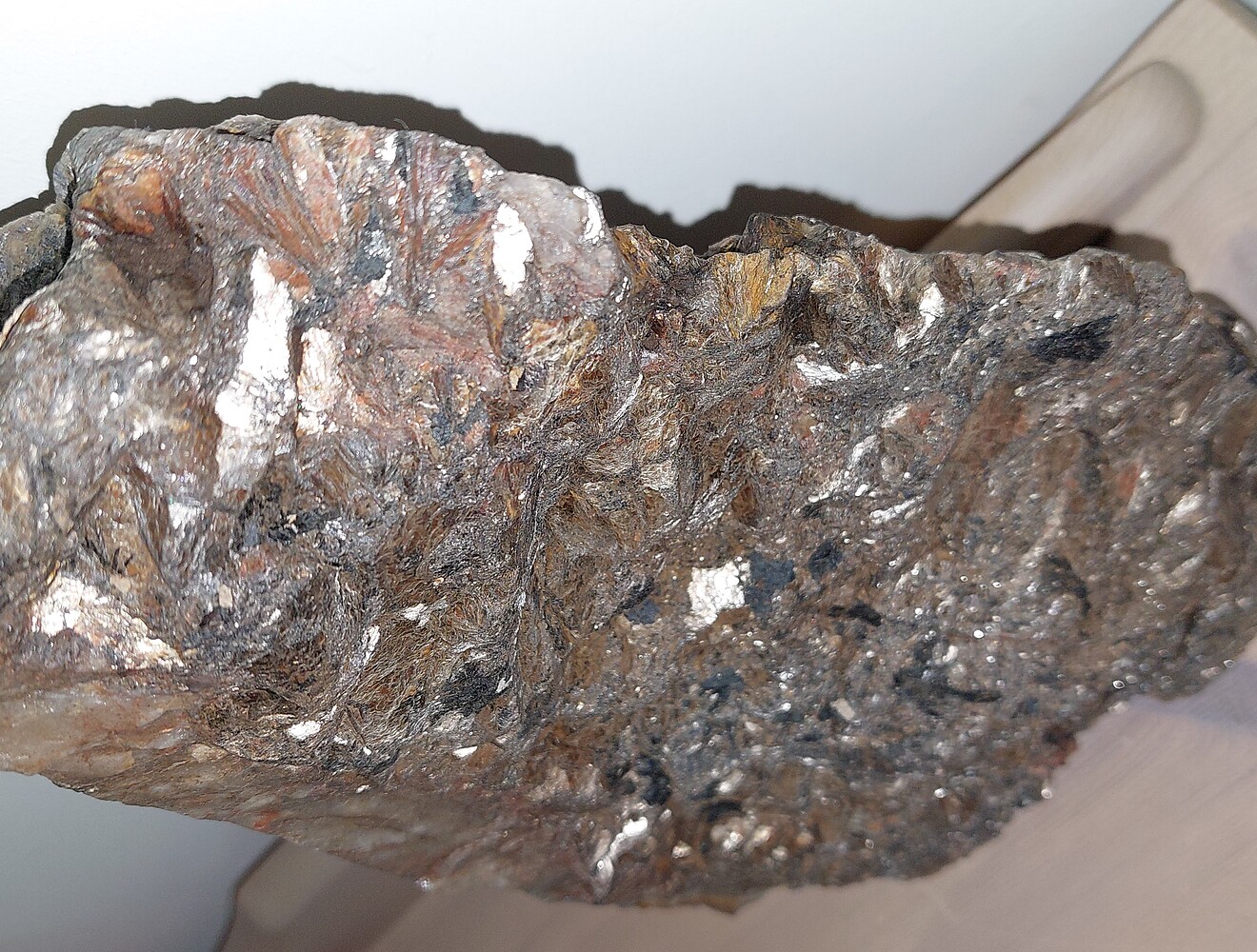 Photos : Incorrect identification