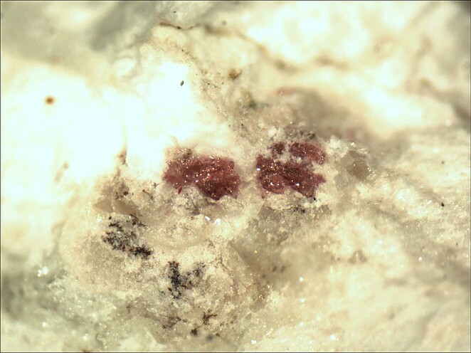 Kovdor Massif, Kovdorsky District, Murmansk Oblast, Russia