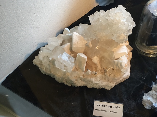 Leonite, Halite