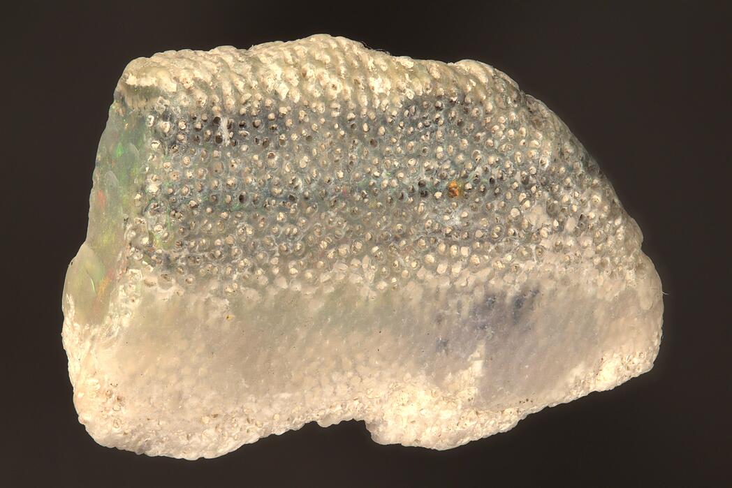 Bone Opal: Mineral information, data and localities.