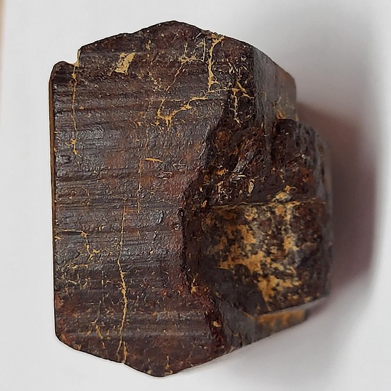 minID: GG1-T9A