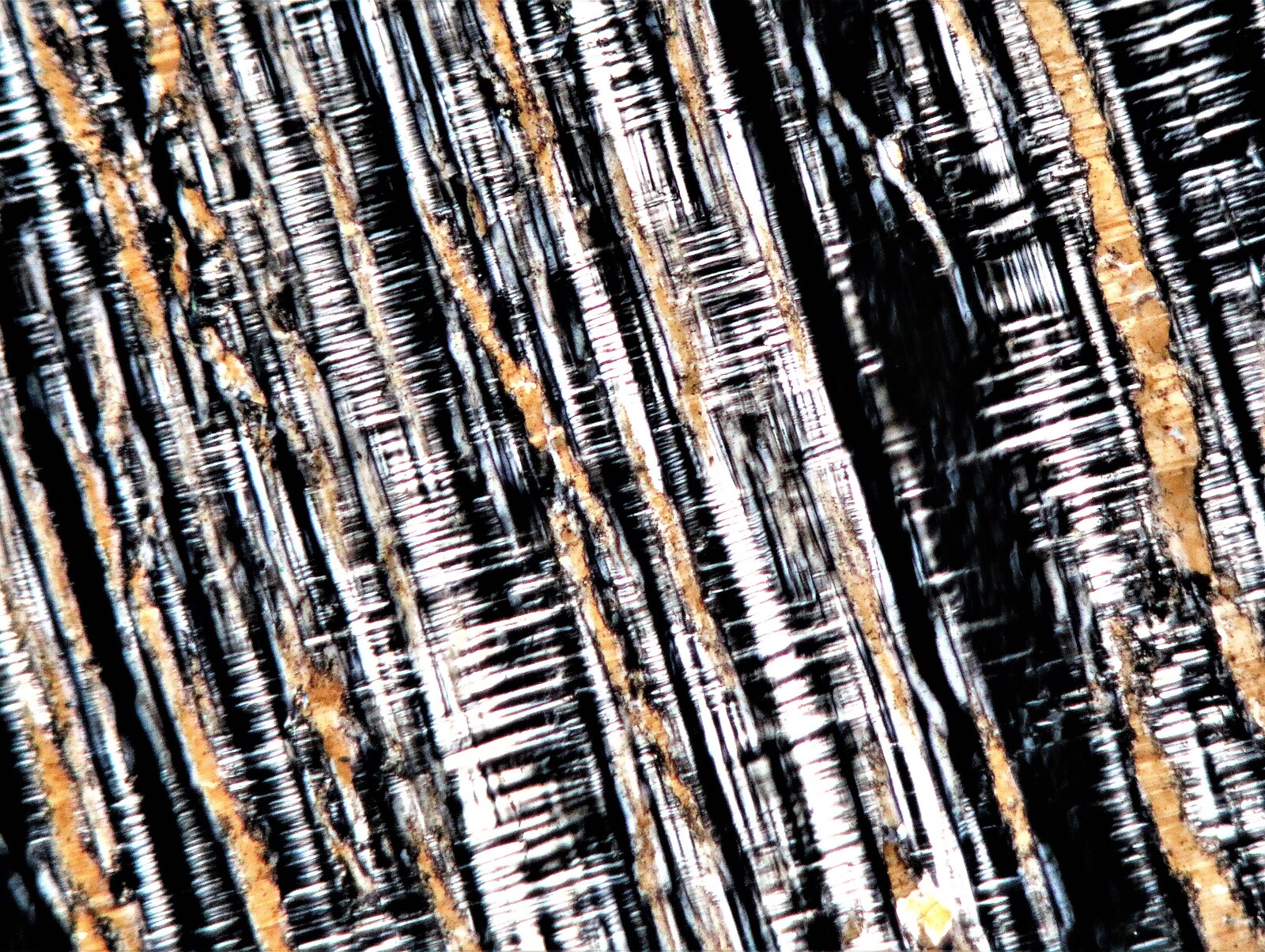 Feldspar Group (Var: Perthite), Microcline, Albite