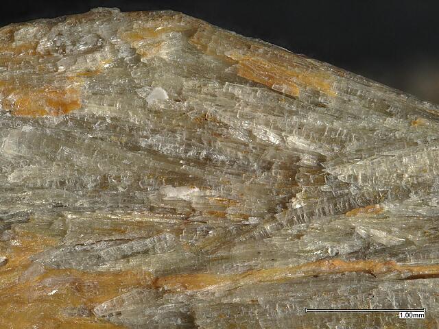 Anthophyllite