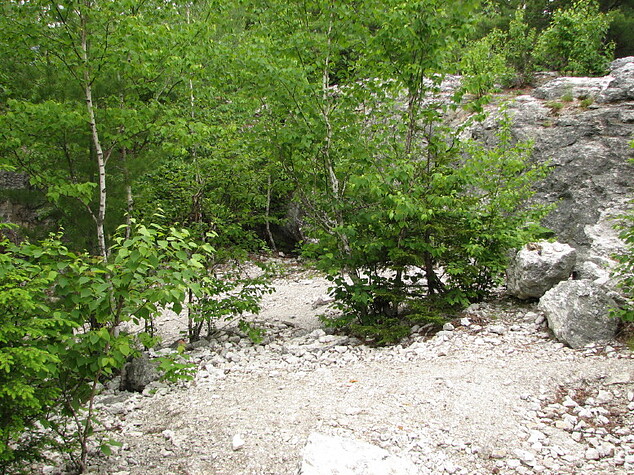 Lord Hill Quarry (Lord Hill Mine), Stoneham, Oxford County, Maine, USA