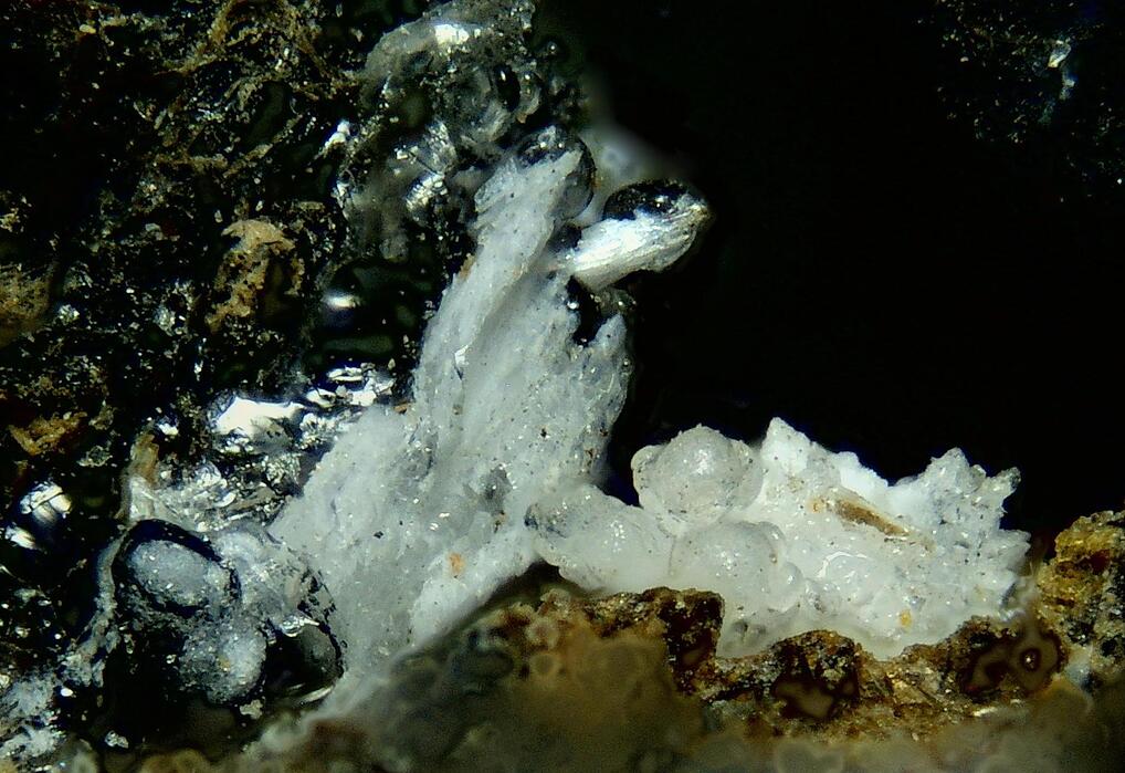 Mount Erebus, Ross Island, Ross Archipelago, Victoria Land, Eastern ...