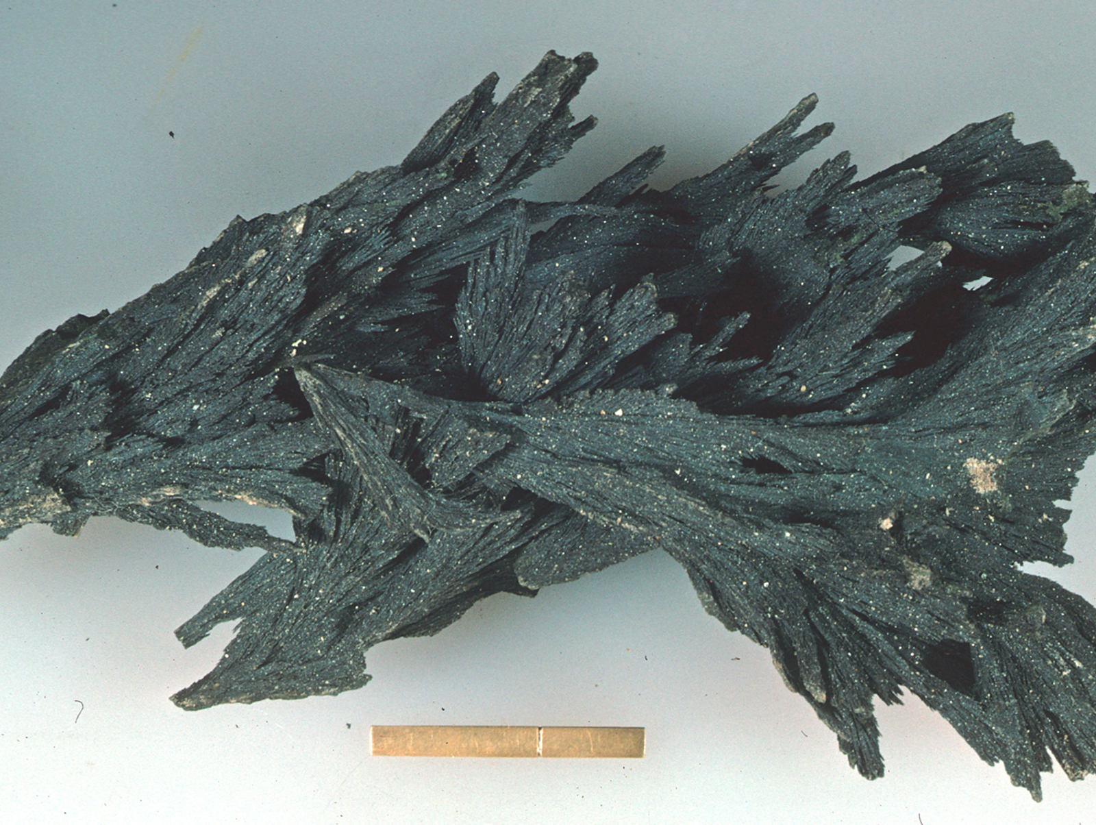 A novelty in Munich 2010. Group of elongated octahedral crystals with ...