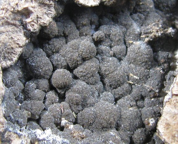 Gambatesa Mine, Reppia, Ne, Genoa, Liguria, Italy