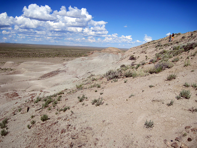 Blue Forest, Eden Valley, Sweetwater County, Wyoming, USA