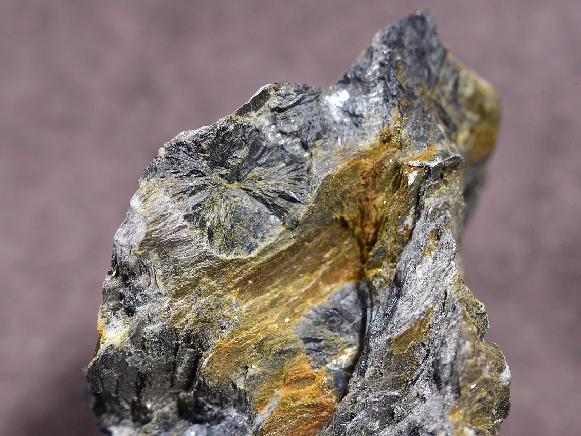 Radial platy grayish-black chloritoid showing hourglass reflections.