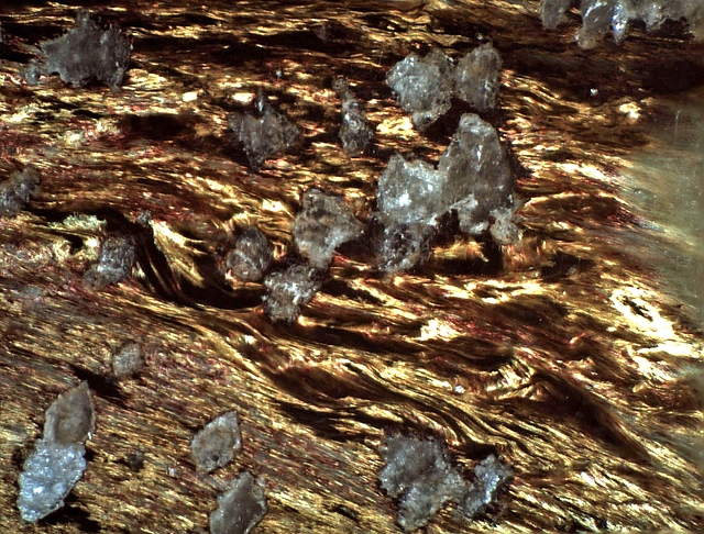 Chalcedony (Var: Binghamite)