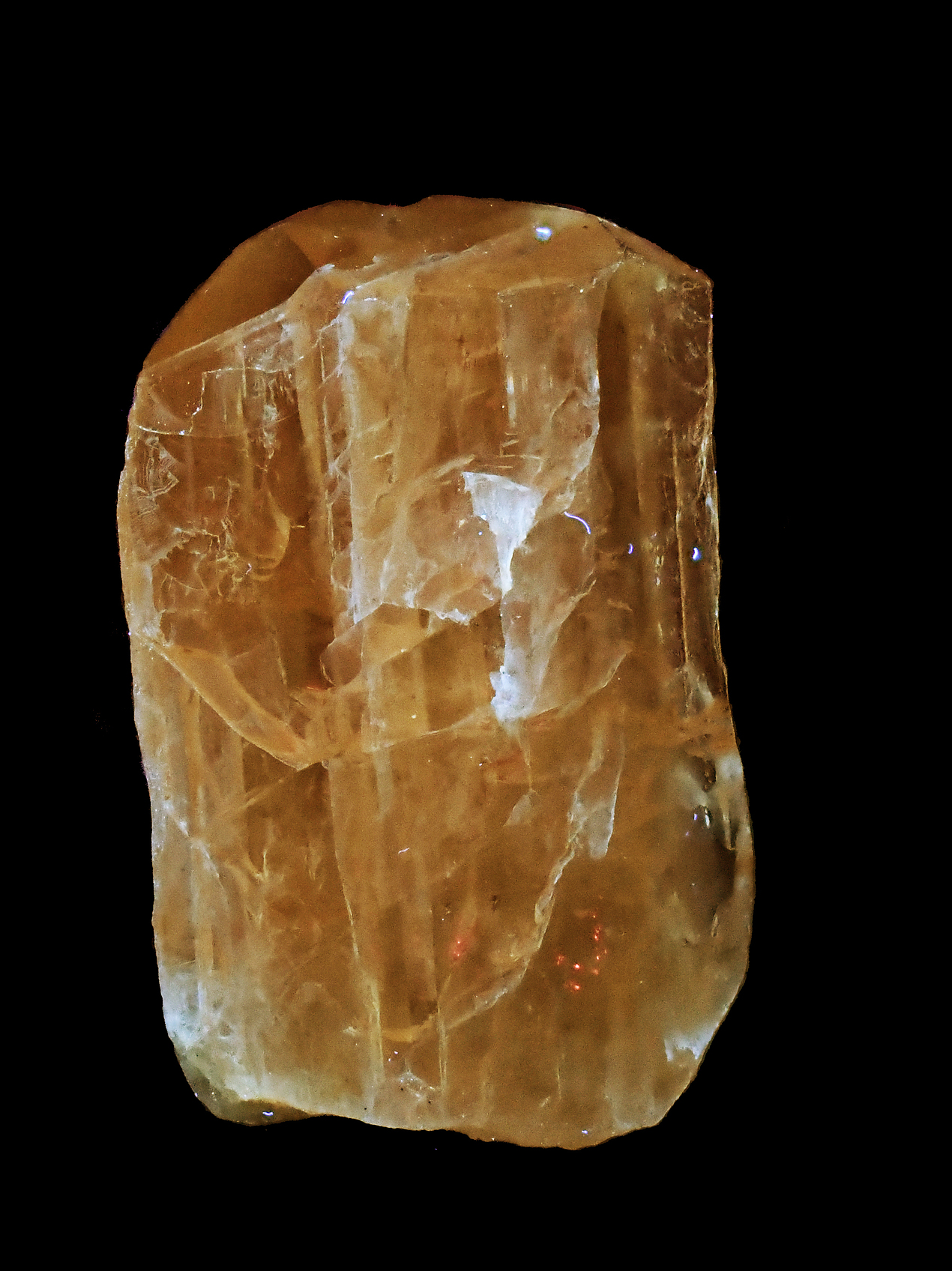 Halogen light · · · Longwave UV