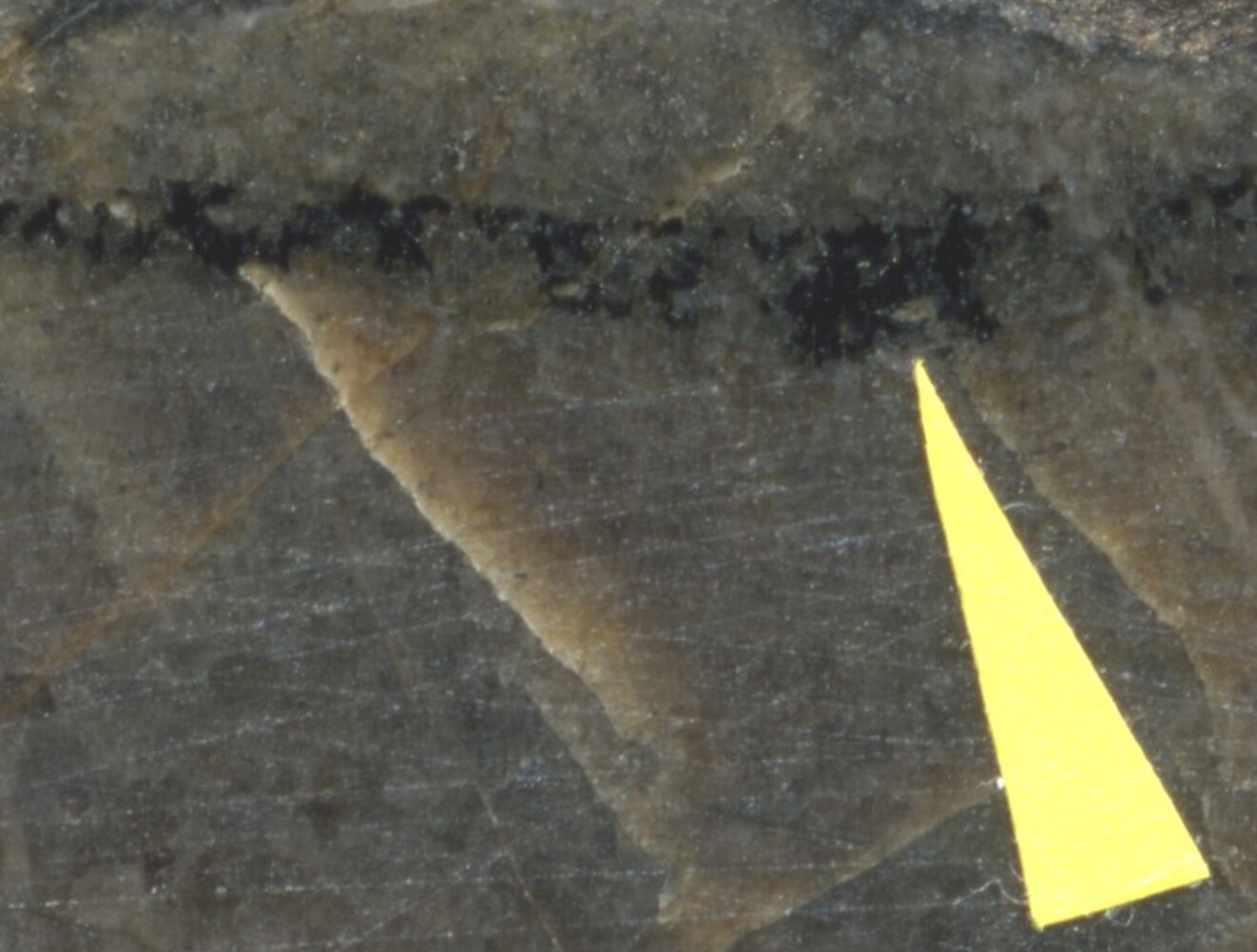 Barium-bearing phlogopite: Mineral information, data and localities.