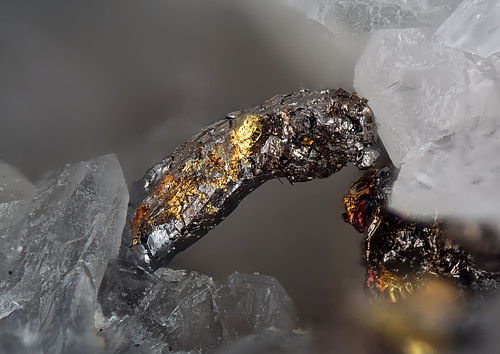 06250910017363288742010.jpg?cachekick=1