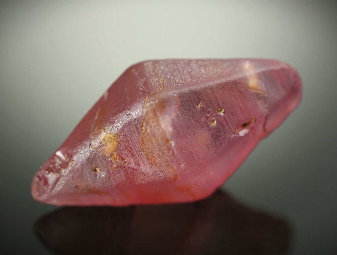 Photos : Ruby vs Sapphire