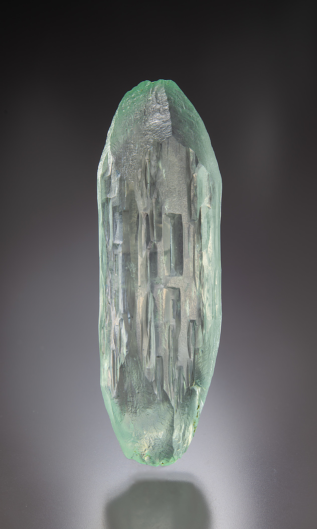 Beryl - Photo Gallery