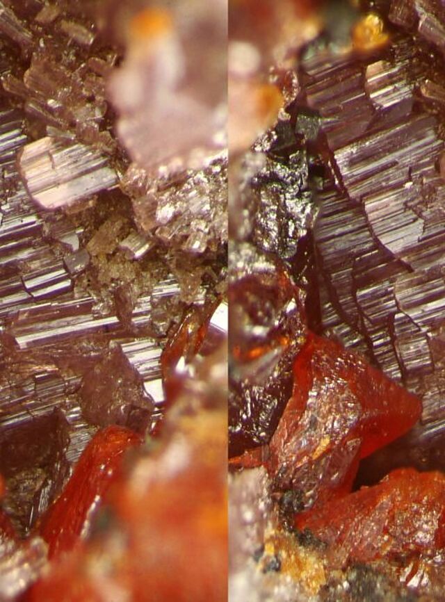 Leucophoenicite, Zincite, Pyrochroite