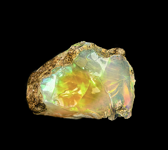 Opal - Photo Gallery