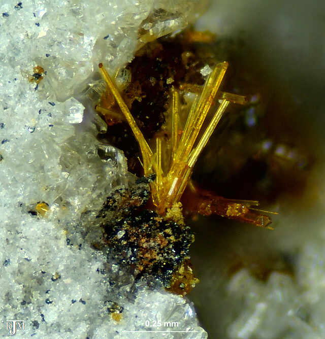 Edenite, Magnetite, Tridymite