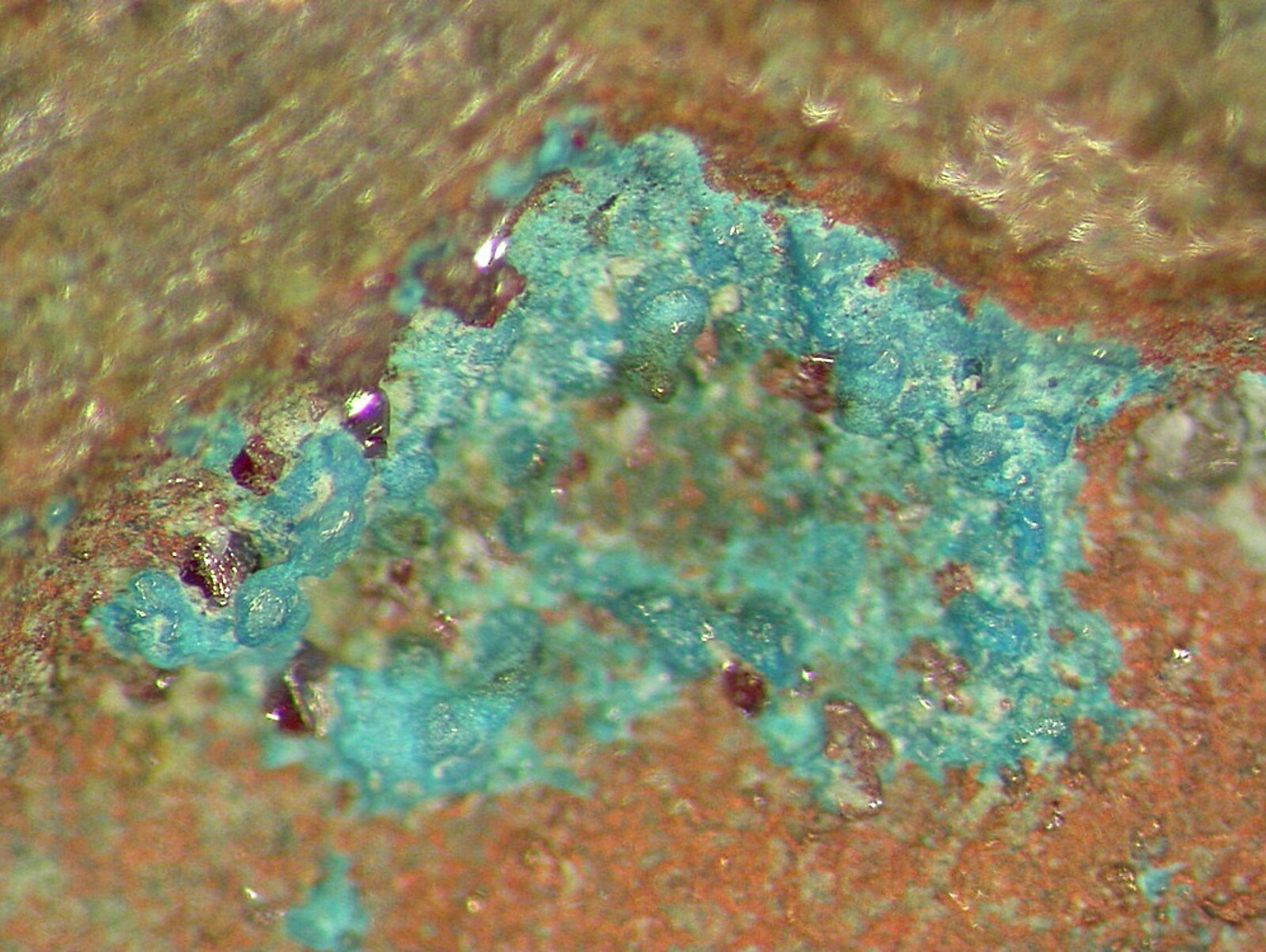 Spertiniite, Cuprite