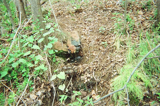 Schuyler Copper Mine, North Arlington, Bergen County, New Jersey, USA