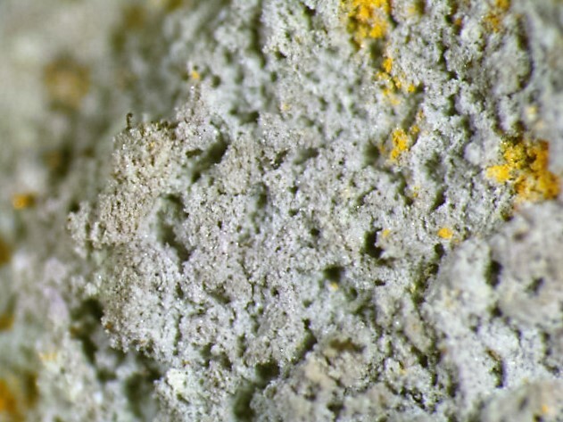 Red Lead Mine, Dundas mineral field, Zeehan mining district, West Coast ...