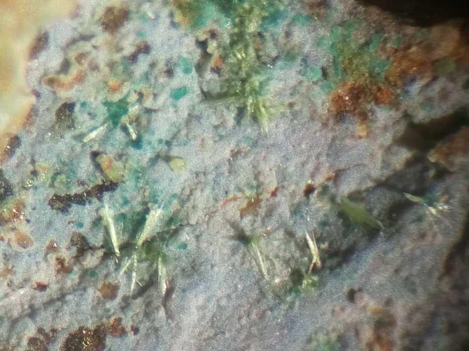 Petersite-(La): Mineral information, data and localities.