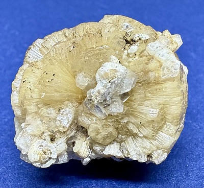 00442920017448253434008.jpg?cachekick=1