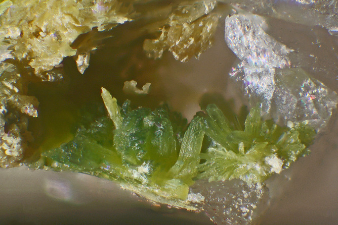 Gelosaite: Mineral information, data and localities.