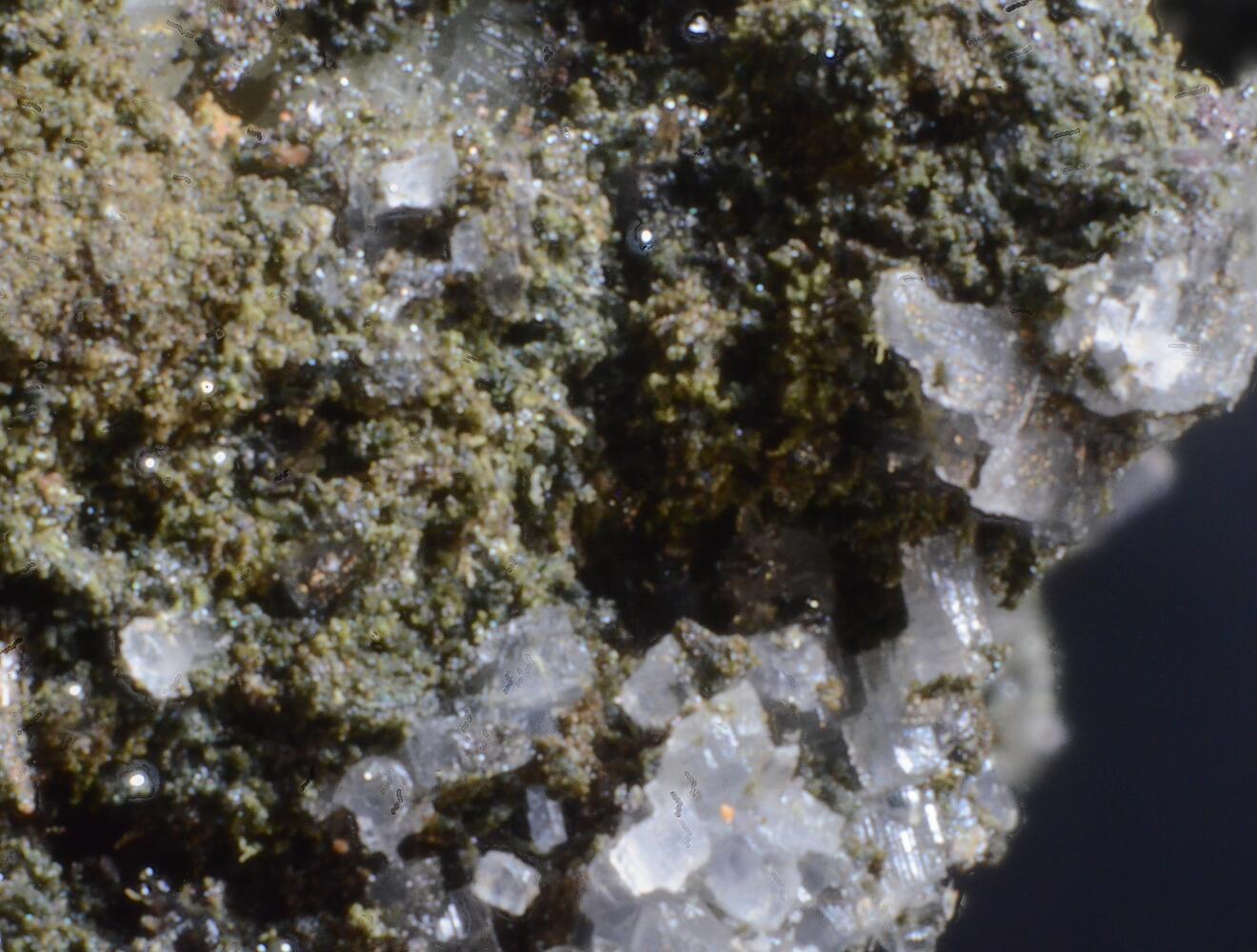 Lebedevite: Mineral information, data and localities.