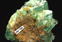 Education : Chert/chalcedony thin sections