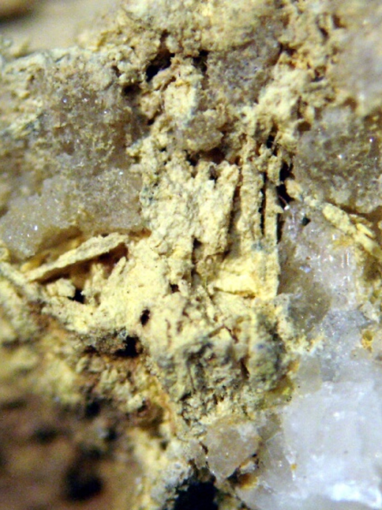 © Michael Förch 2016