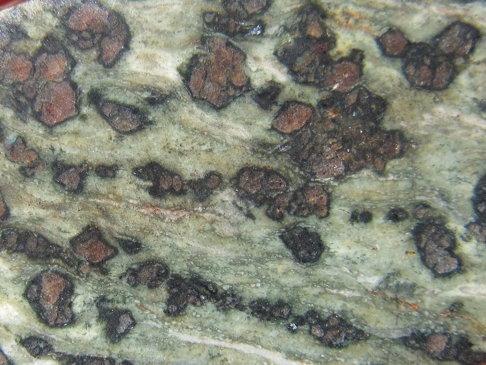 Eclogite