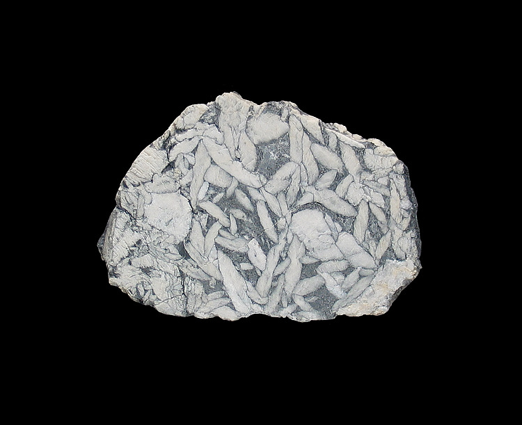 Pinolite: Mineral information, data and localities.