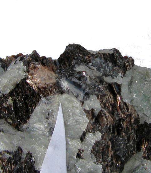 04838060017271927849958.jpg?cachekick=1