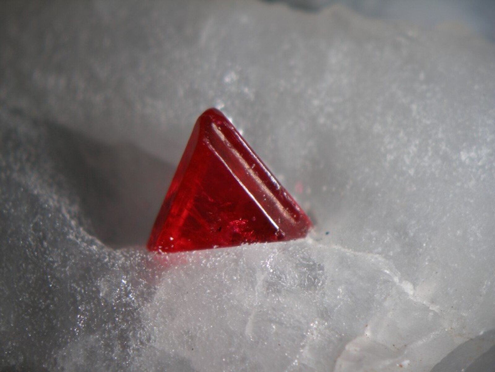 © Matteo Chinellato