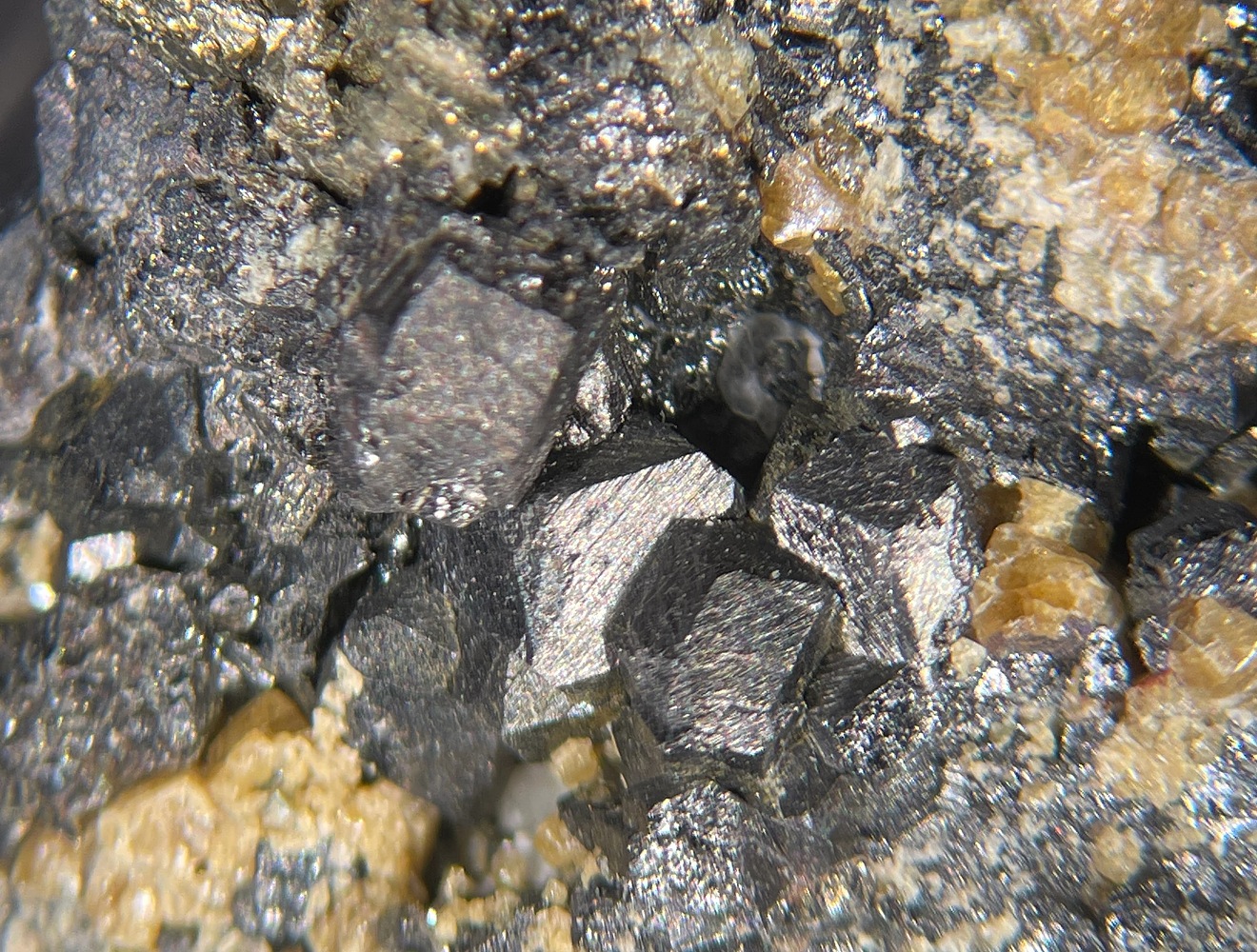 Field Collecting : Dodecahedral magnetite with grossular, chondrodite ...