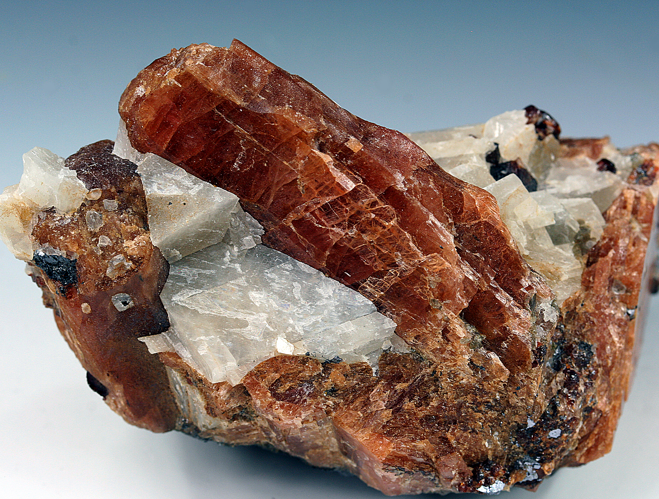 Bustamite: Mineral information, data and localities.